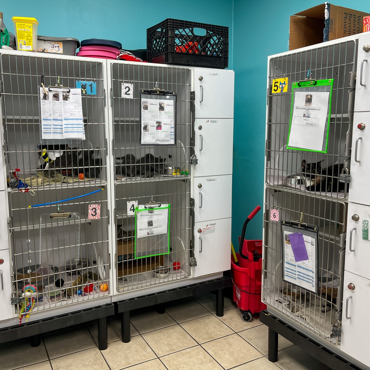 Texas State Student Government offers new activities and safety ...