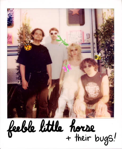 Art, house shows and Feeble Little Horse: An interview with Lydia ...