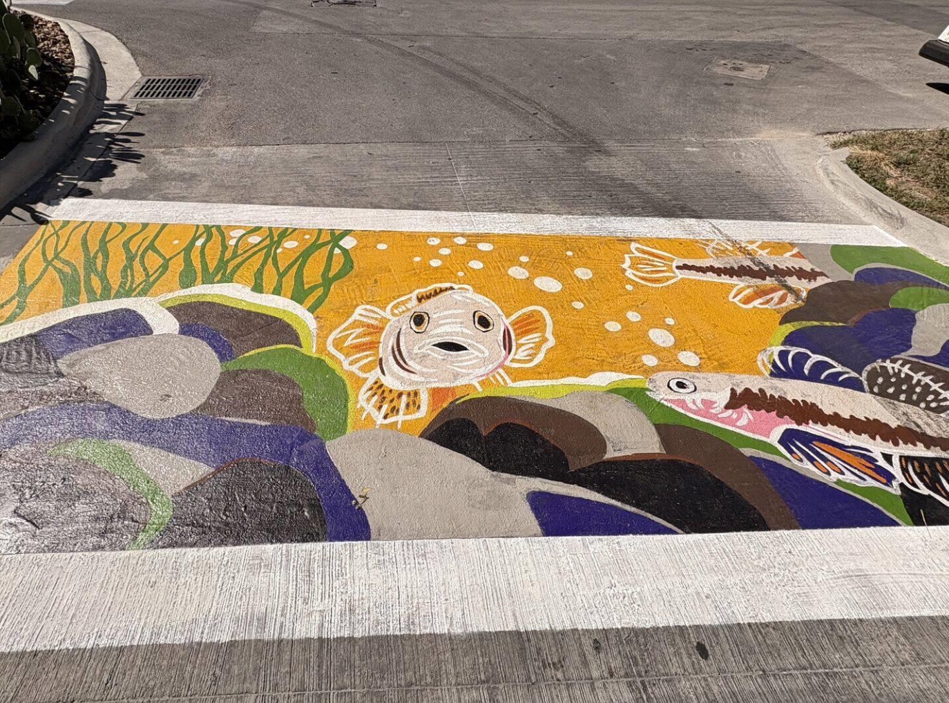 KTSW Loves: The San Marcos Art Fest and Street Murals – KTSW 89.9
